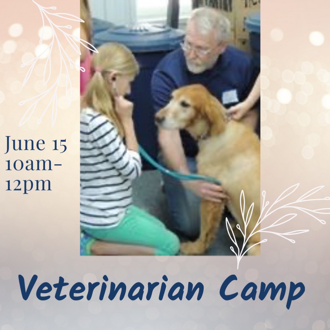 Events & Discounts - Riverside Animal